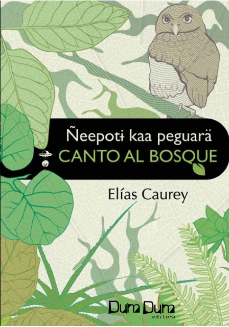 Guaraní Children’s Books – World Kid Lit