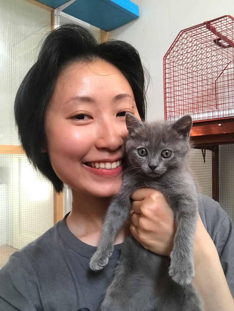 Bologna Children’s Book Fair: What, Who, How? – World Kid Lit